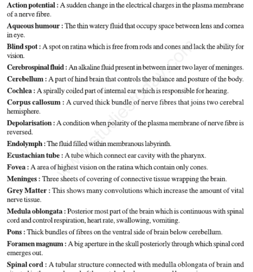 CBSE Class 11 Biology Neural Control and Coordination Assignments CBSE Class 11 Biology Neural Control and Coordination Assignments